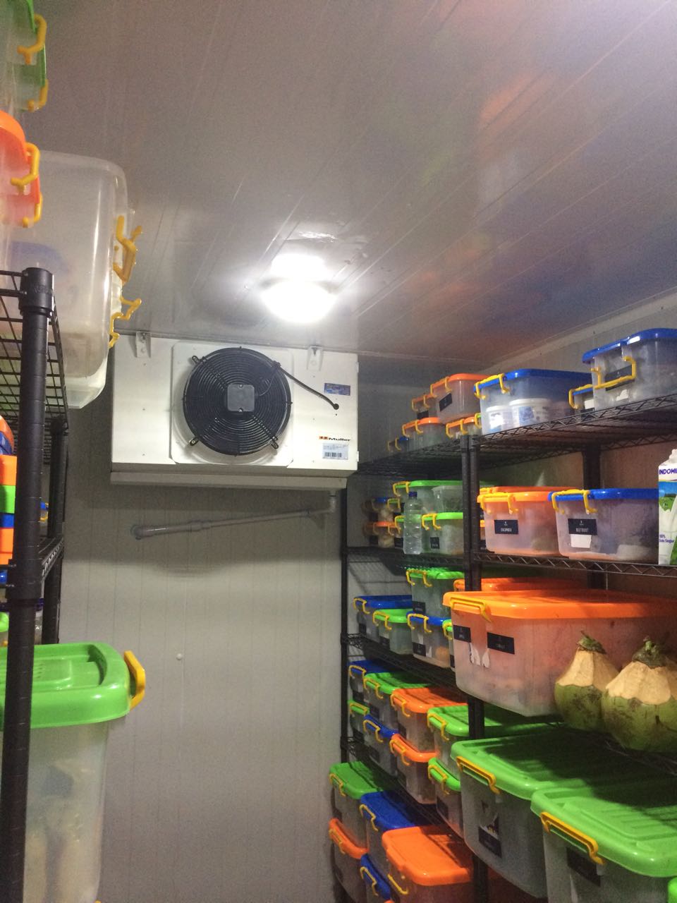 "YUDIN BALI COOL ROOM AND COLD STORAGE: CHILLER COOL ROOM AND FREEZER ...