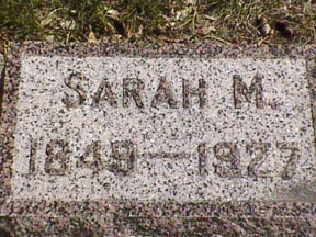 The Old Trunk in the Attic: Tombstone Tuesday - Negley Family Plot