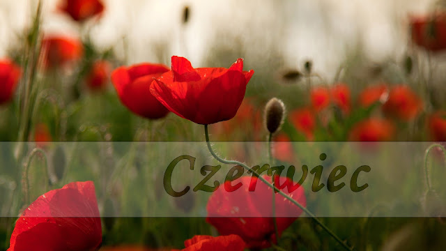 Stosik: czerwiec ~ W krainie uciekających liter