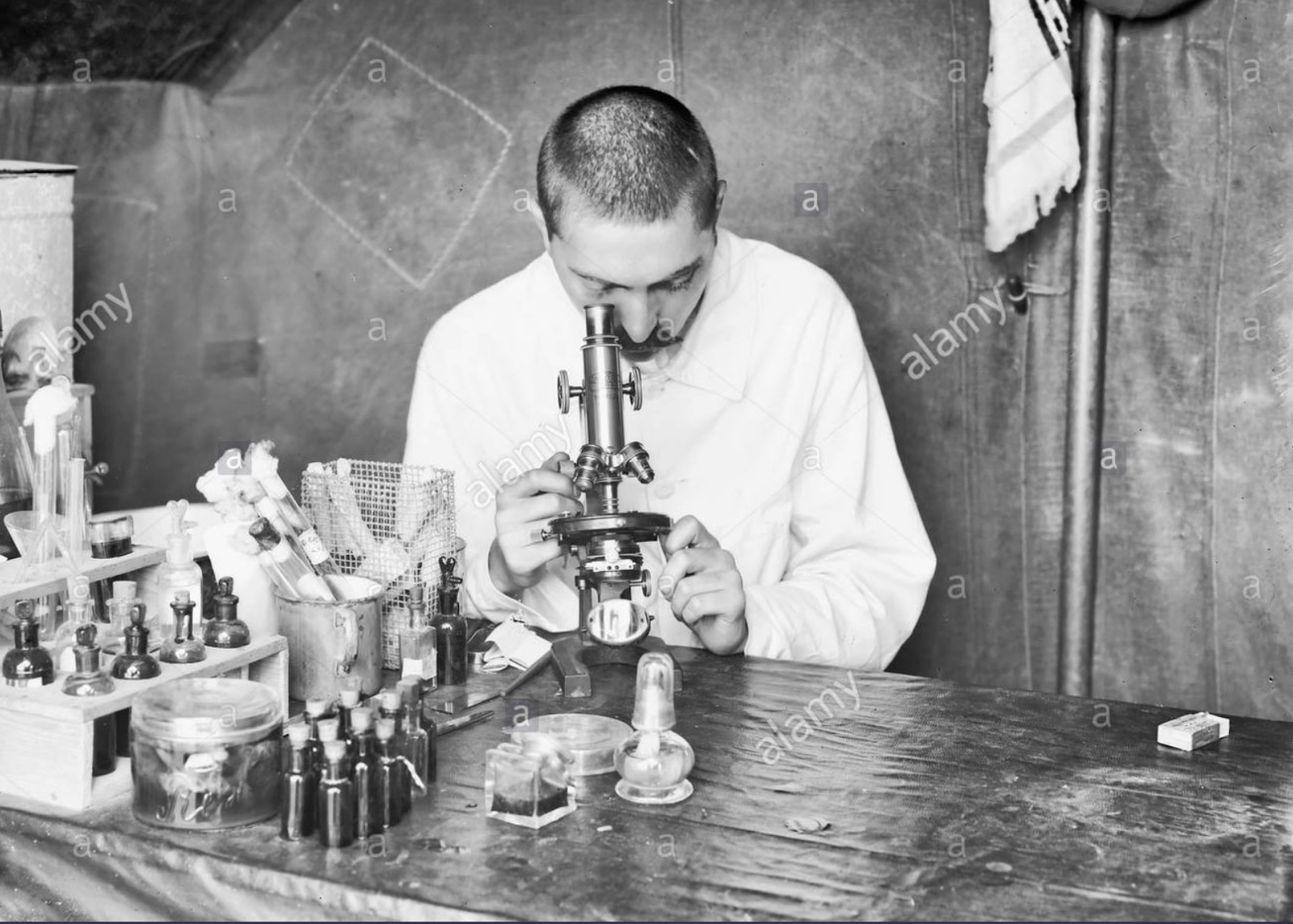 Fenómenos Científicos e o Nosso Planeta: Gripe espanhola - “a pandemia ...