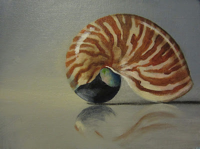One Painting a Day: Nautilus Shell