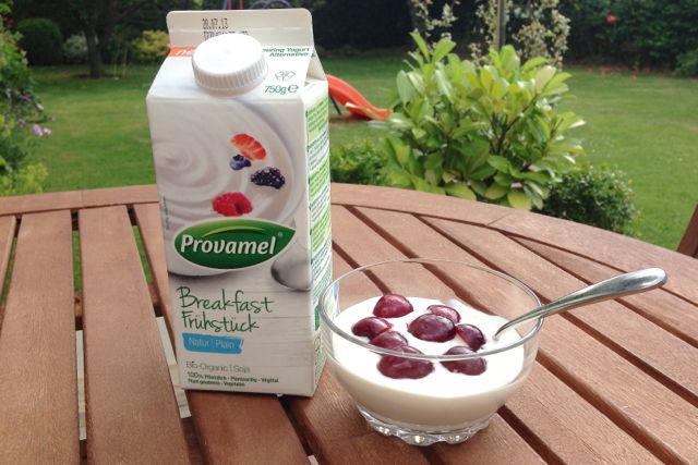 VEGANOO Vegan Reviews: Review: Provamel Pouring Yoghurts