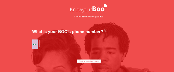 Knowyourboo.com - find out if your boo has another boo!