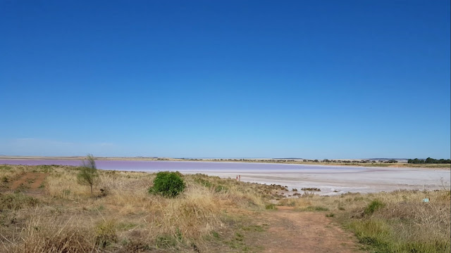 Lake Bumbunga, South Australia - THE PINK LAKE - Jeannie in a Bottle