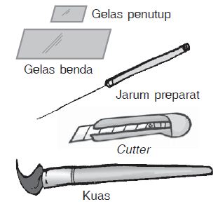 Cara Membuat Preparat basah dan Preparat Kering, Paling Lengkap dan ...