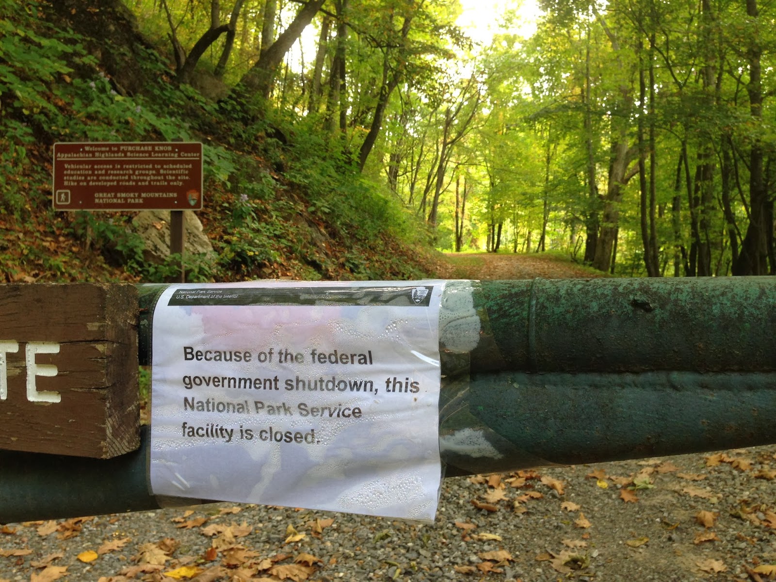 Hiking the Appalachian Balds: Hemphill Bald