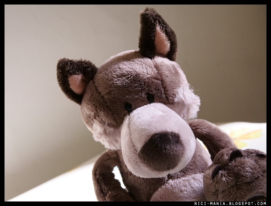 NICI-Mania - i ♥ Love NICI Plush Toys: NICI Woody Wolf