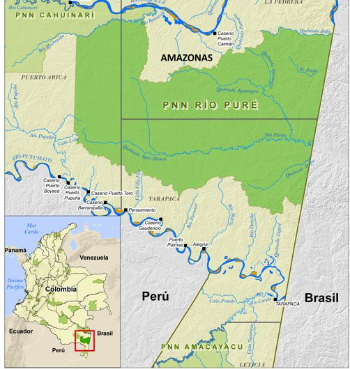 PARQUE NACIONAL NATURAL RIO PURE