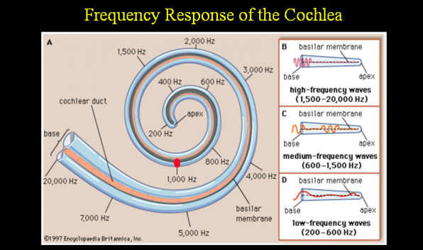 Audio, Image and Video Processing Blog: Week 4: 19/10/2012