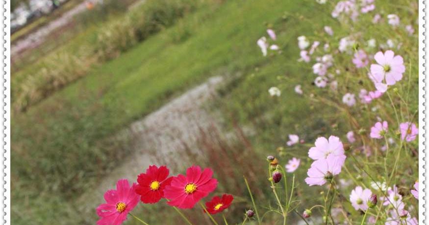 The Scriptures: Mark-05-39