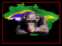 RESERVATIVA: Rato do PT prestes a cair na ratoeira