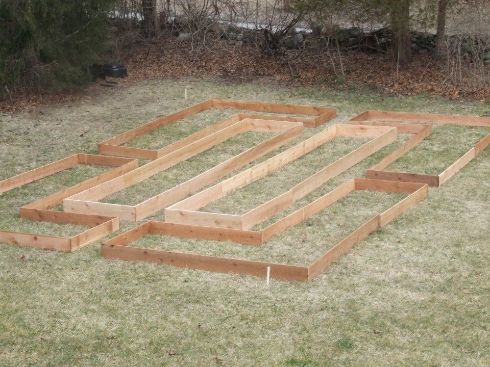 Simple Garden Made Easy: Gardening Journey