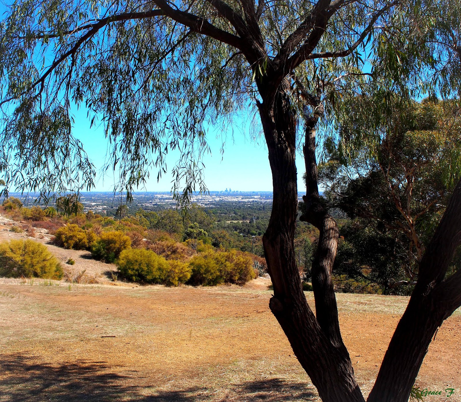Perth Daily Photo : View from the Darling Scarp..