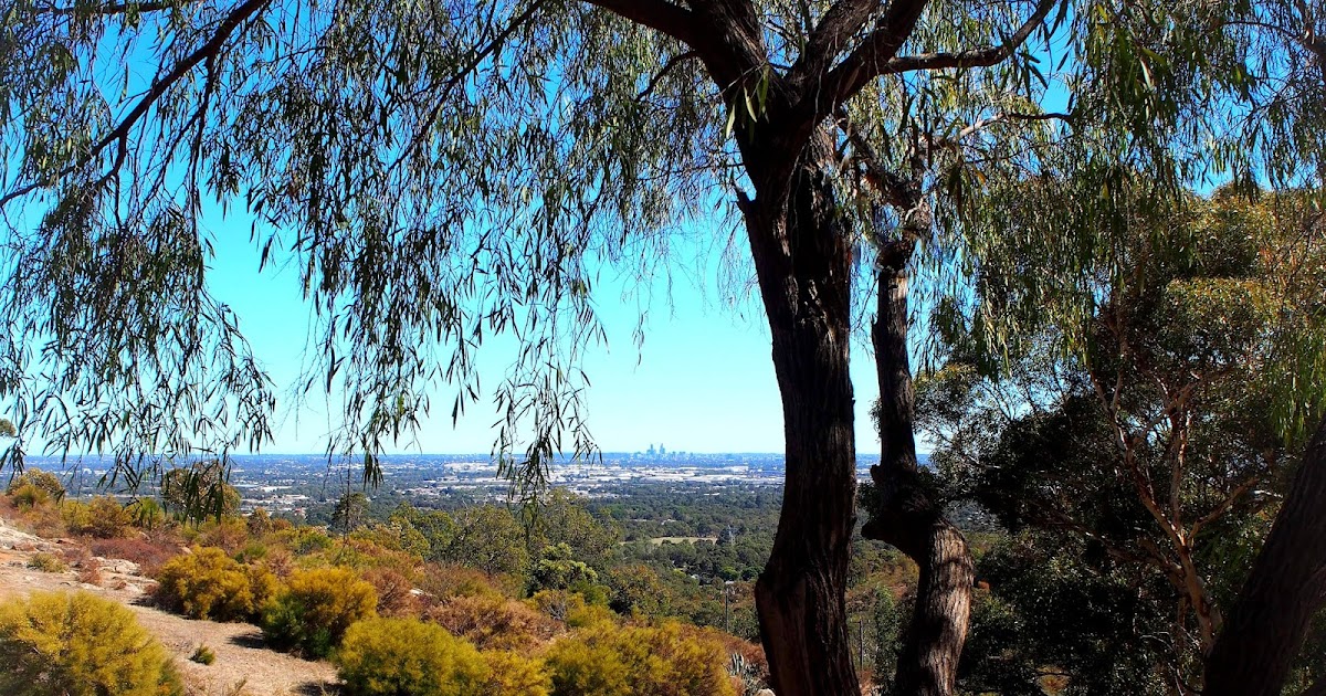 Perth Daily Photo : View from the Darling Scarp..