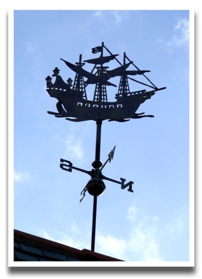 2719 HYPERION: Snapshot! - The Crocodile and the Vane