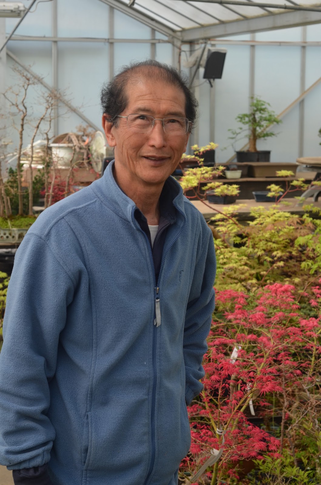 THE SECRETS TO GROWING BONSAI |The Garden of Eaden