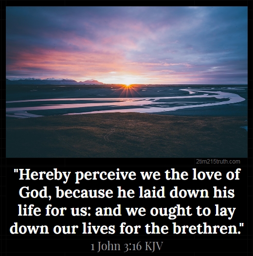 2 Timothy 2:15 Truth: Verse of the Day: 1 John 3:16 KJV