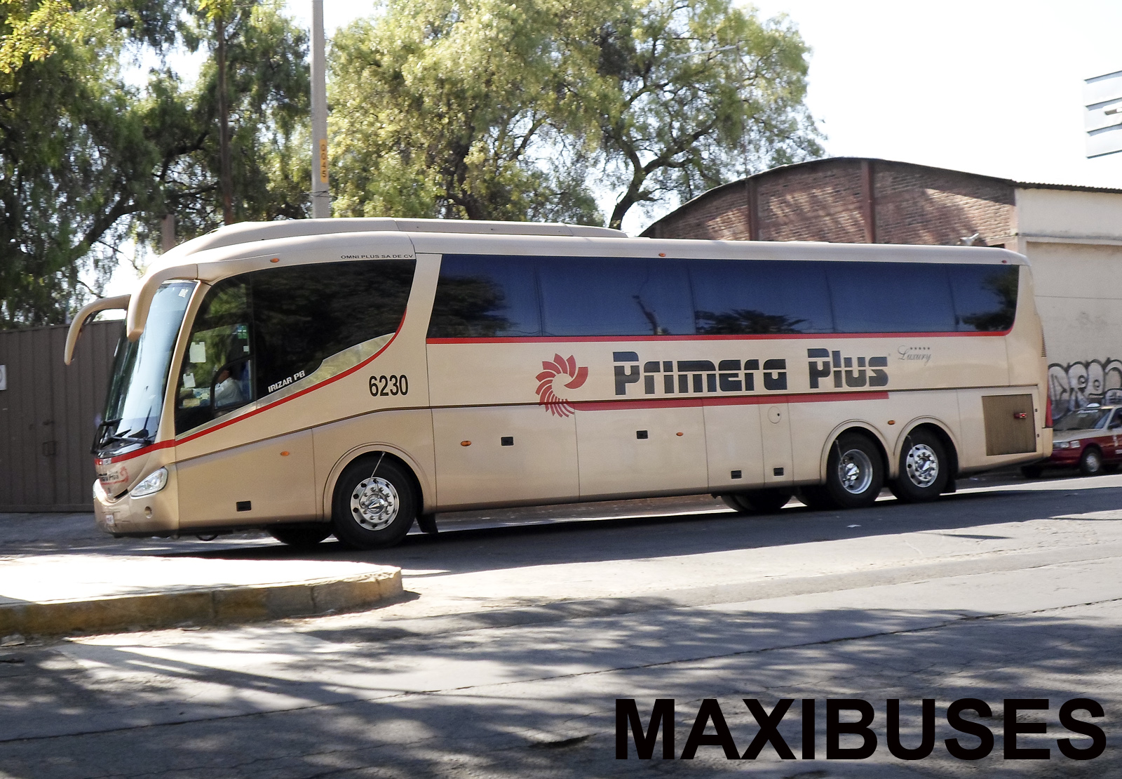MAXIBUSES: PRIMERA PLUS