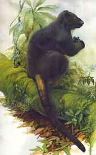 Persona Non Grata: Creature Feature: Tenkile