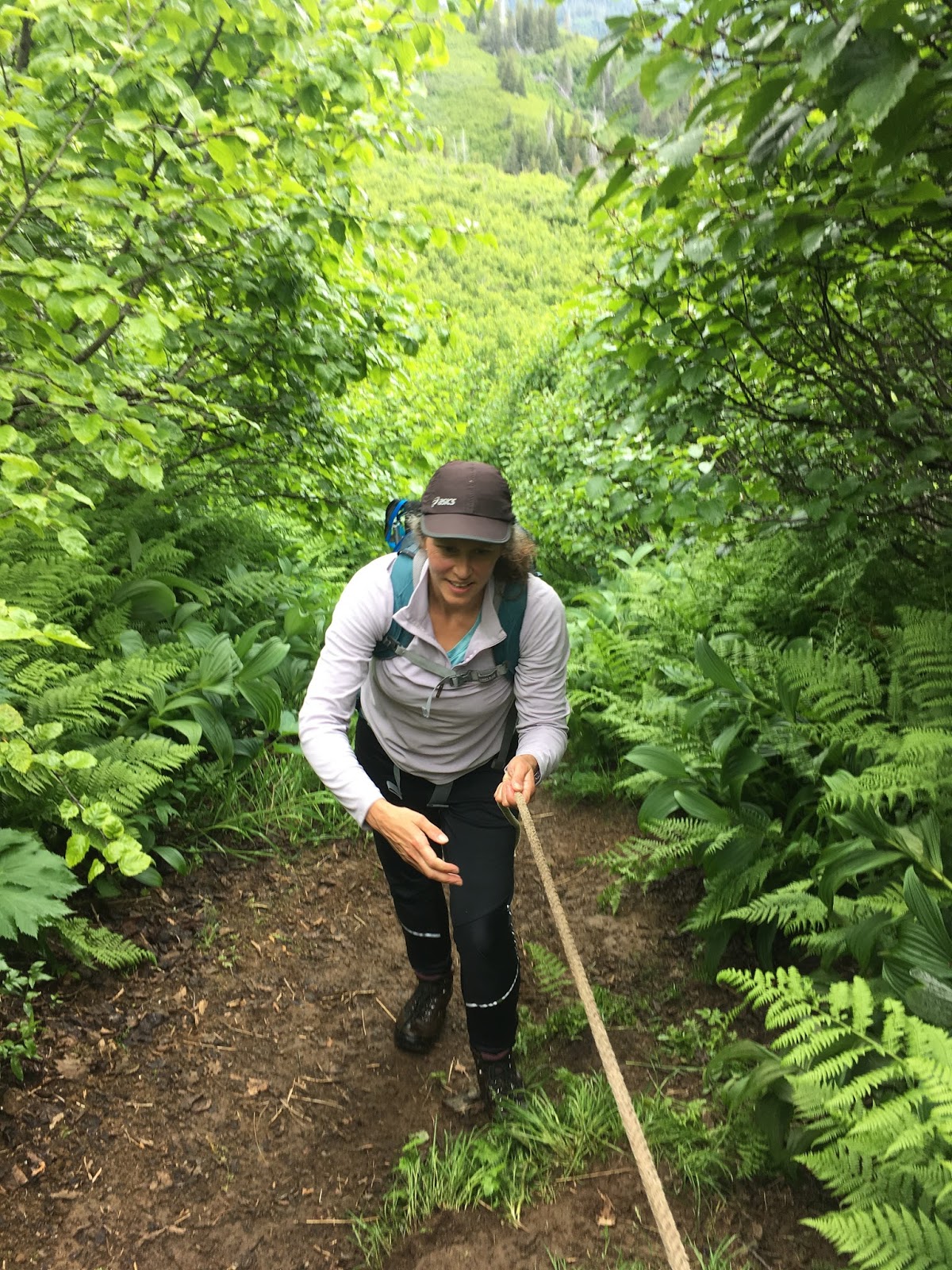 Life in Alaska — A View From Homer: Alpine Ridge Trail