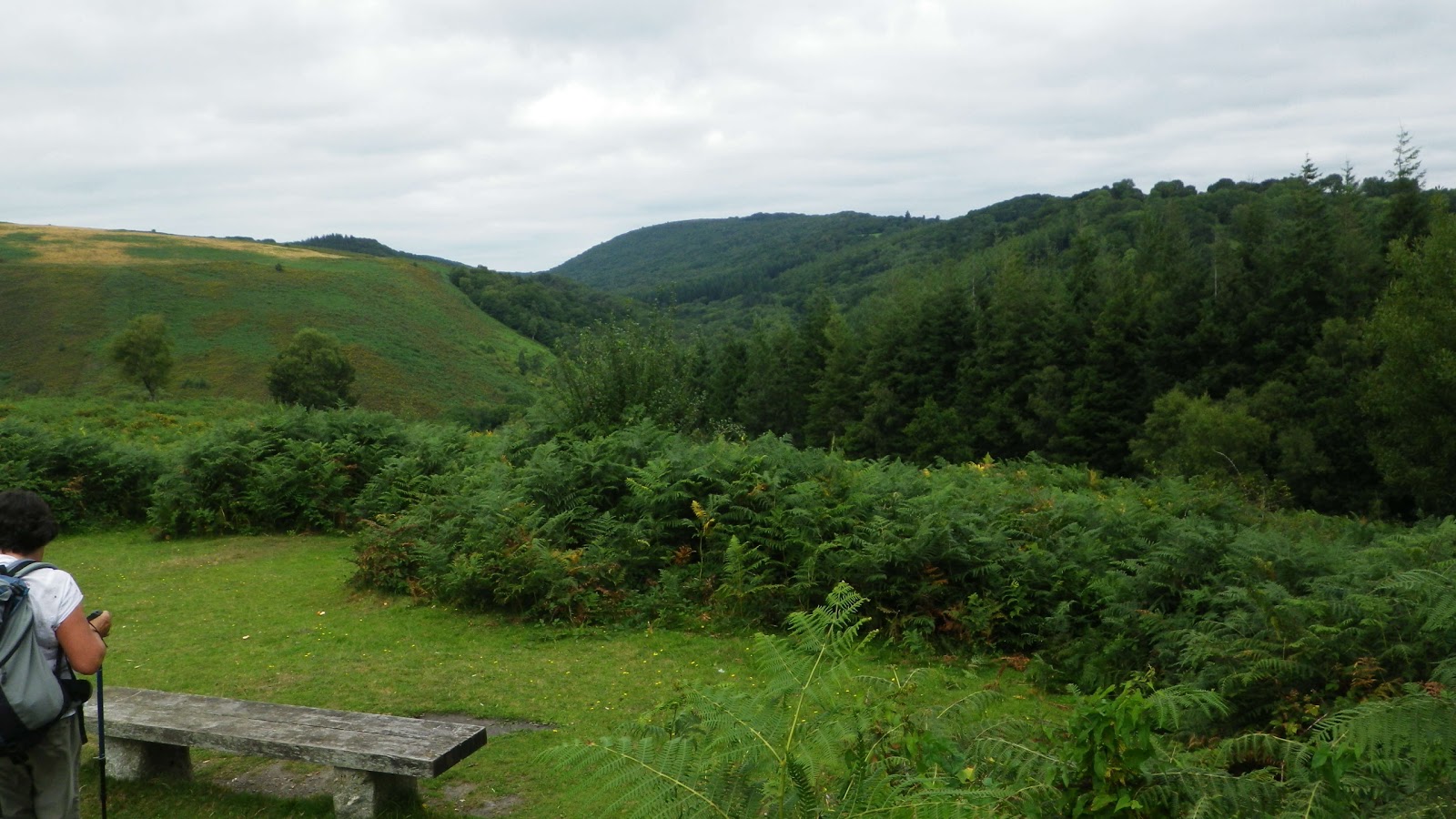 My Dartmoor Walks: Tuesday 3rd September The Templar Way