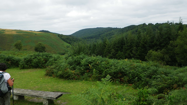 My Dartmoor Walks: Tuesday 3rd September The Templar Way