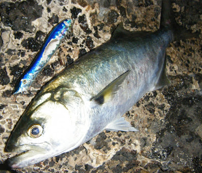 Pesca Artificial: El mito de "La majúa".