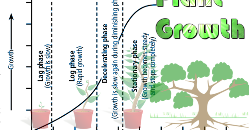 CBSE Papers, Questions, Answers, MCQ ...: CBSE Class 11 - Biology ...