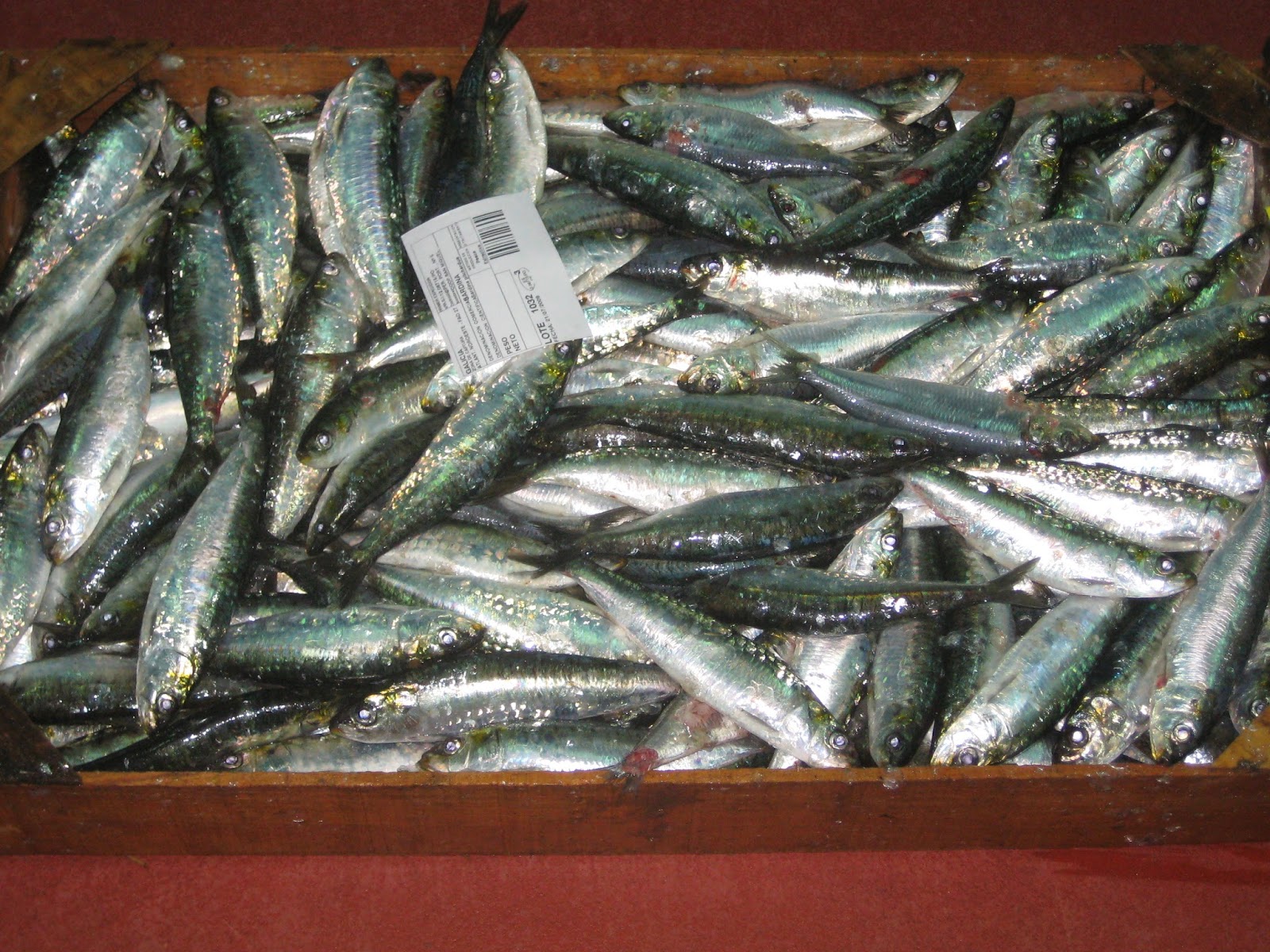 El rincón de Mundín: PESCADOS: EL ARENQUE Y LA SARDINA