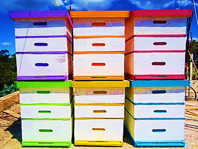 Zulu Bees: Beautiful multi colored bee hives