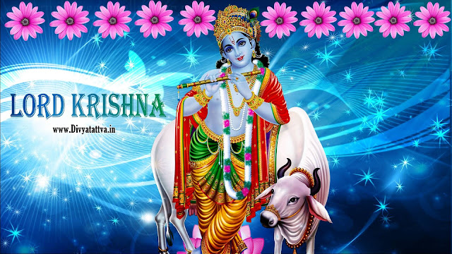 Lord Krishna HD Wallpaper Radha Govinda Background Images Download