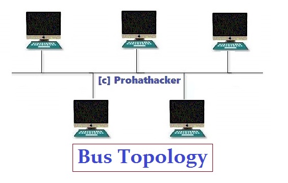 Computer Network Topology