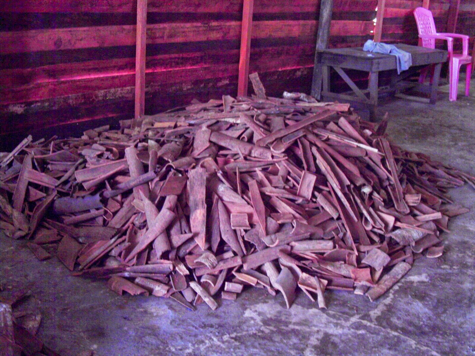 Ransun Group: PROSES PENGERINGAN KULIT KAYU MASSOIA (MASOHI) OLEH CV ...