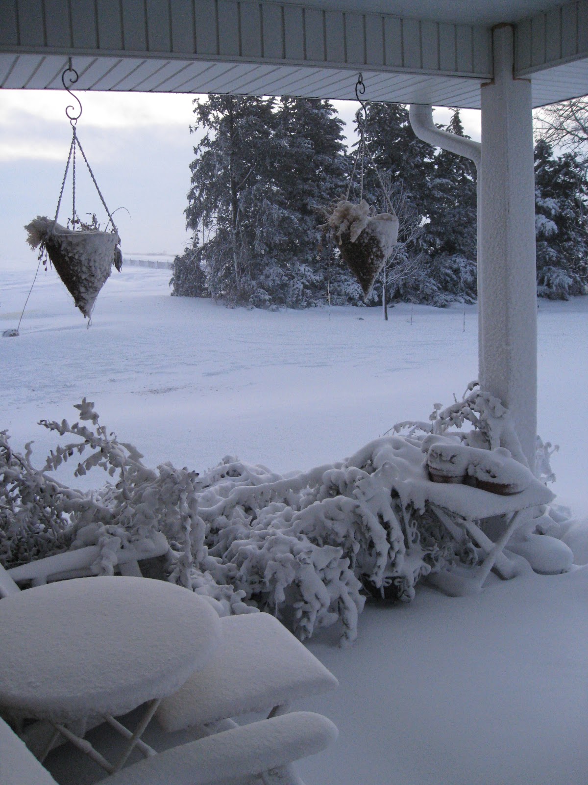 from the edge of the prairie . . .: Crazy Snow