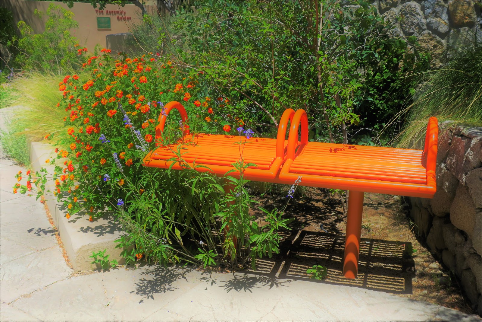 Living Rootless: El Paso: UTEP: Orange Bench
