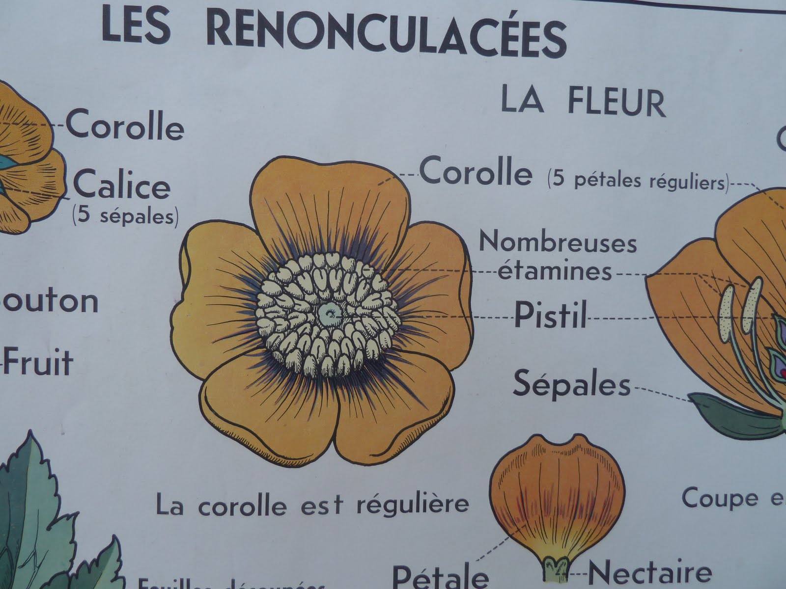 Ecole FMR 1000 Affiches scolaires: Mdi anncienne affiche scolaire les ...