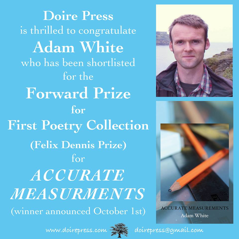 Over The Edge: Adam White's 'Accurate Measurements', published by Doire ...