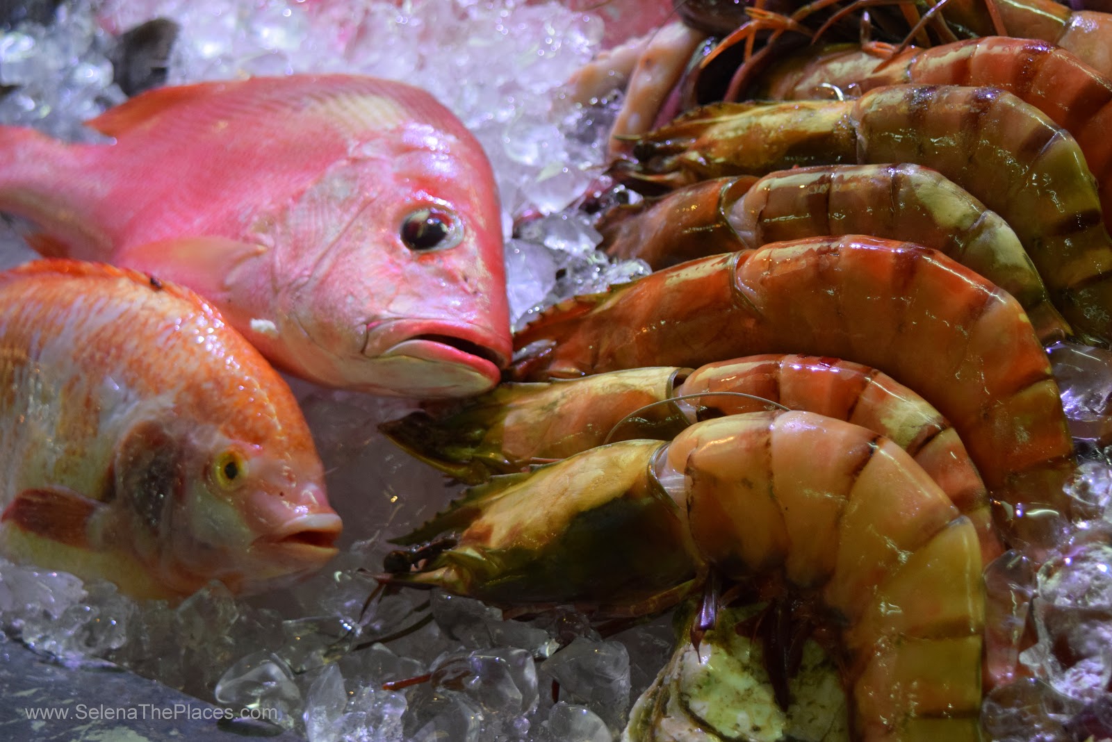 Oh, the places we will go!: Fisherman's Village in Koh Samui