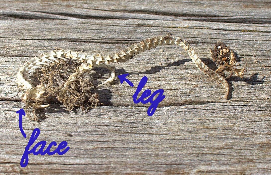 Hook, Line & Sink Her: Six Things Sunday