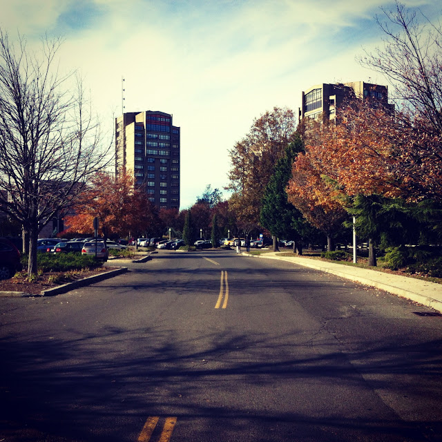 Fall at Hofstra