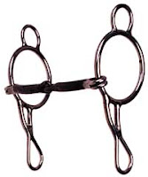 Foundation Reining Training Centre: The Combination Bit- Many Bits In One