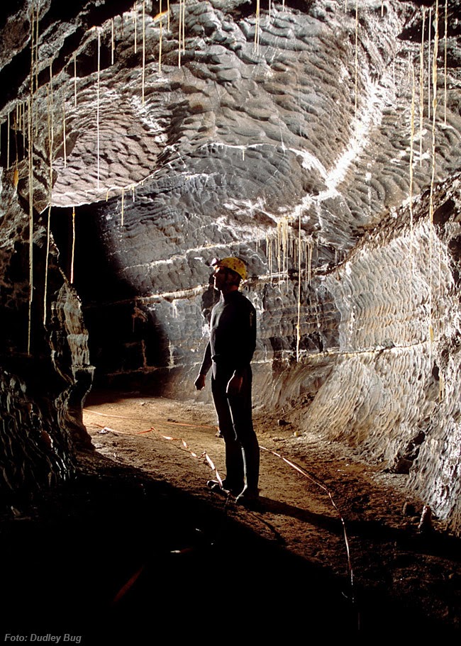espeleobloc: Dudley Bug, espeleofotògraf (2)