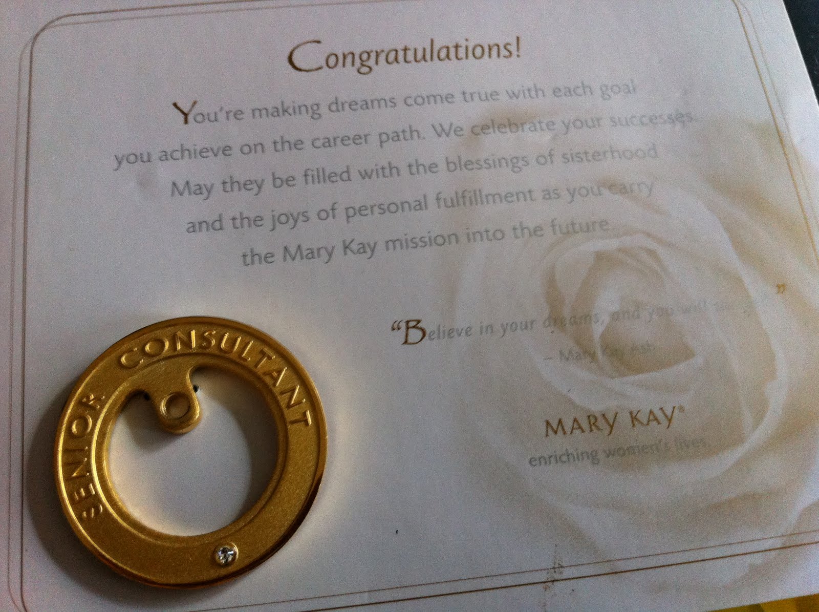 Mary Kay: Senior Consultant Pin (Mar 2011) - Christina Foo