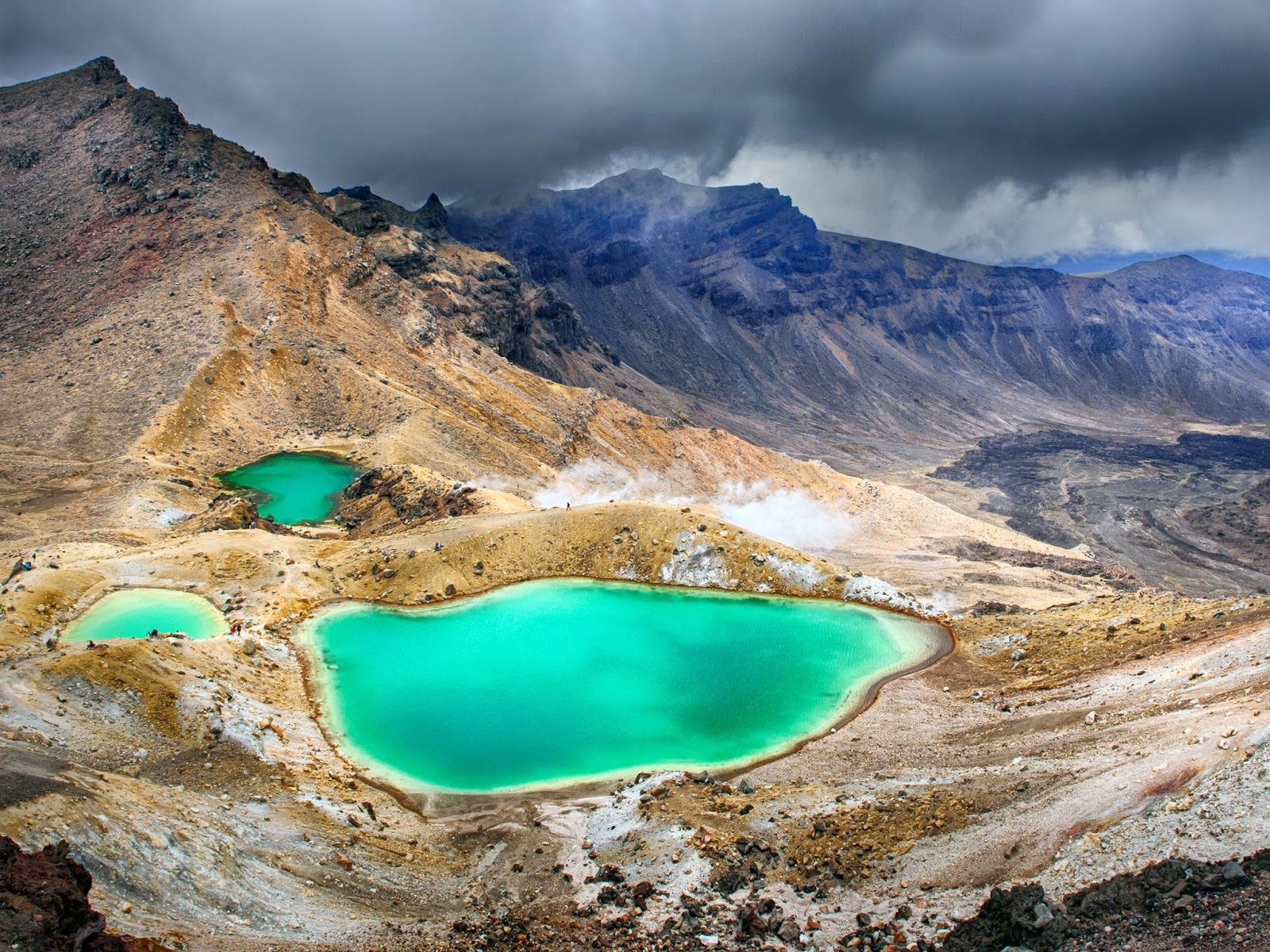 Climi, Piante e Paesaggi di Australia e Nuova Zelanda - Con Foto e ...
