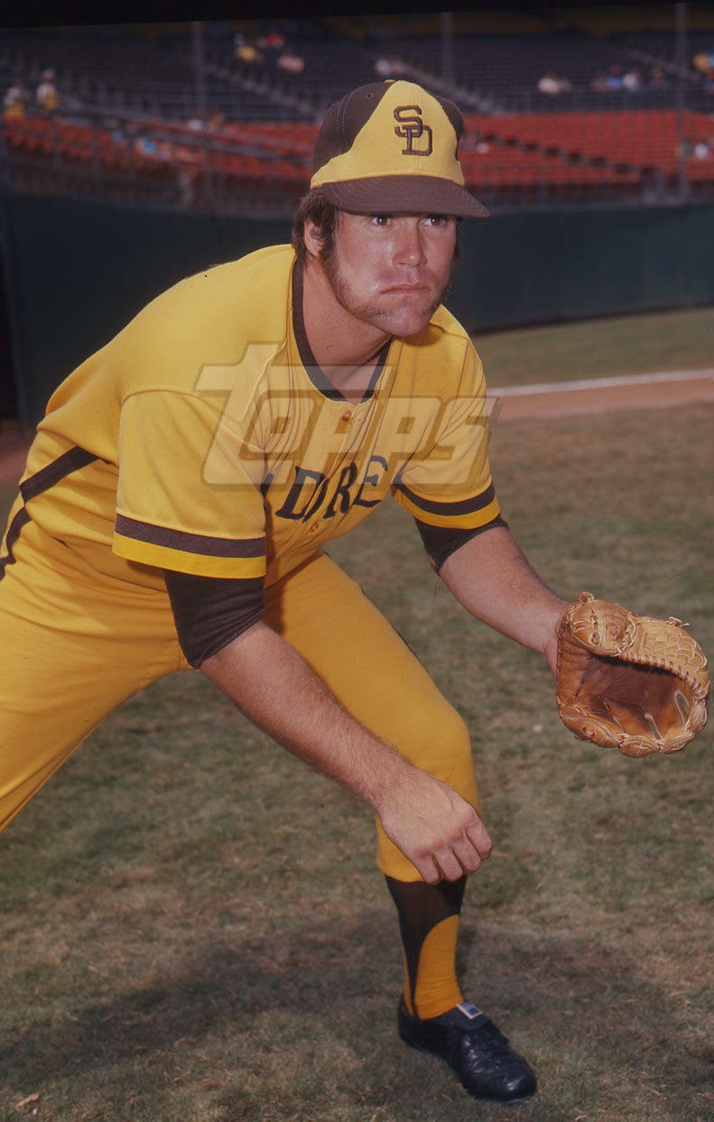 The Fleer Sticker Project: May 2014