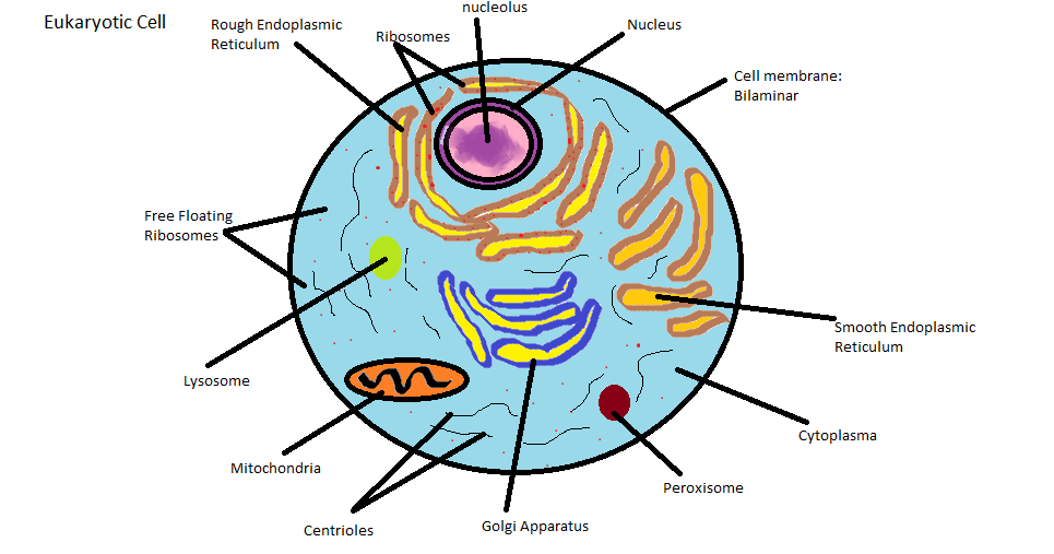 EOCT Independent Study Project
