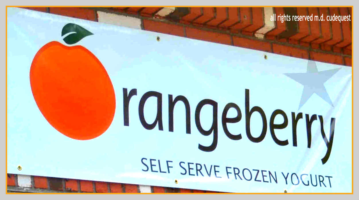 EverythingCroton: A PEEK INSIDE THE NEW ORANGEBERRY SELF SERVE FROZEN ...