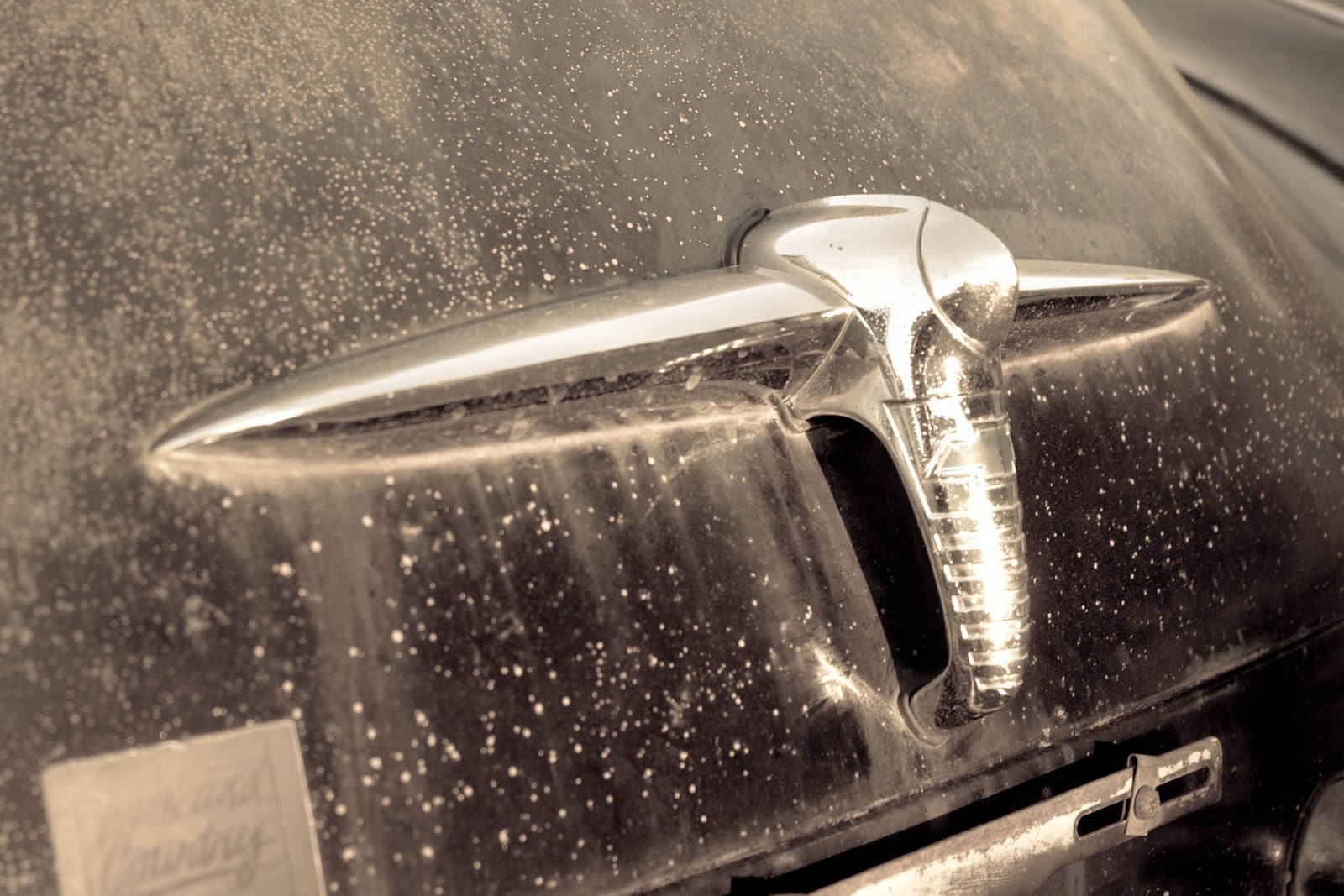 SAM AMES: Ames Photography