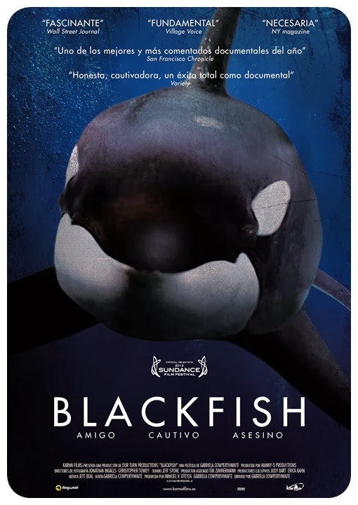 FILM DREAMS: BLACKFISH ( 2013 )