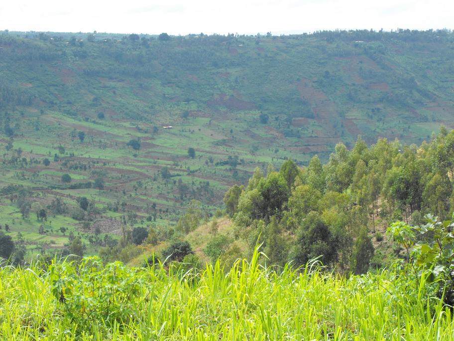 Alice's Adventures in Rwanda: A walk in Kibungo
